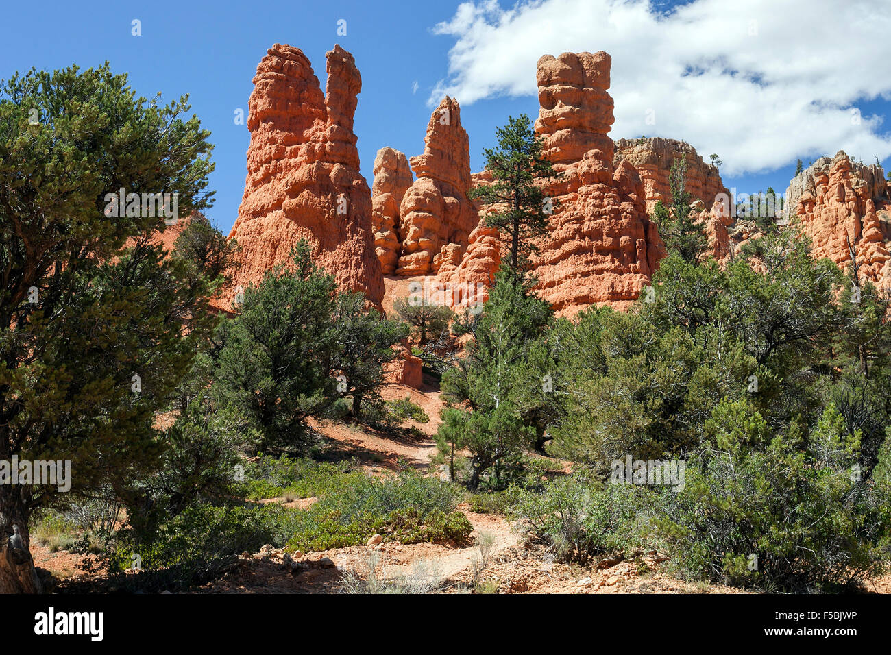 Path erosion hi-res stock photography and images - Alamy