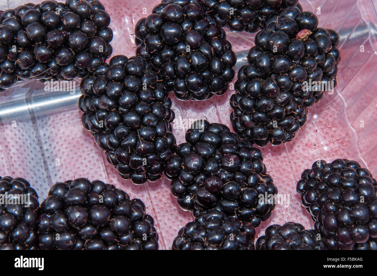 Rubus subgenus hi-res stock photography and images - Alamy