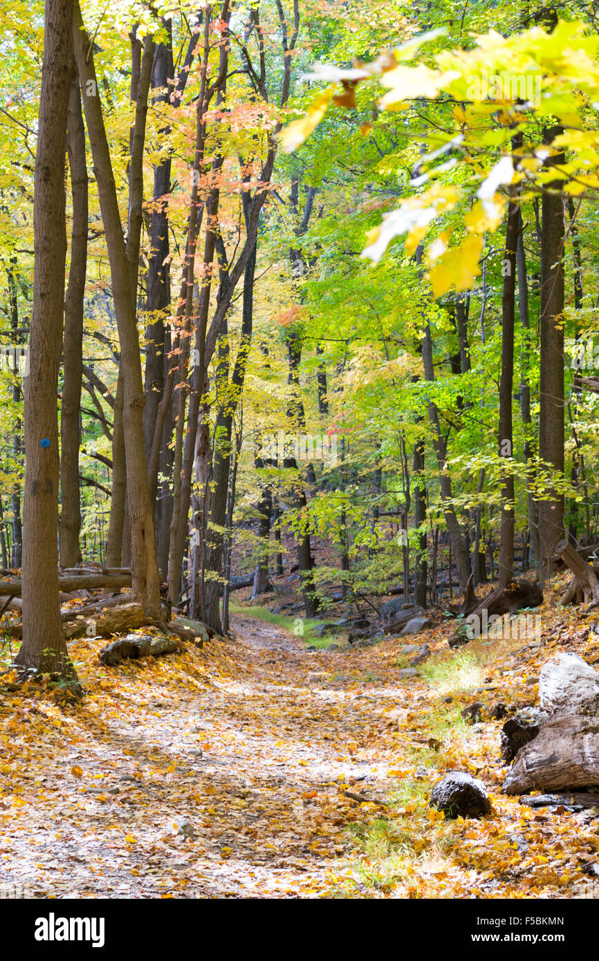 Picture taken during a hike from Breakneck ridge to Cold Spring during ...
