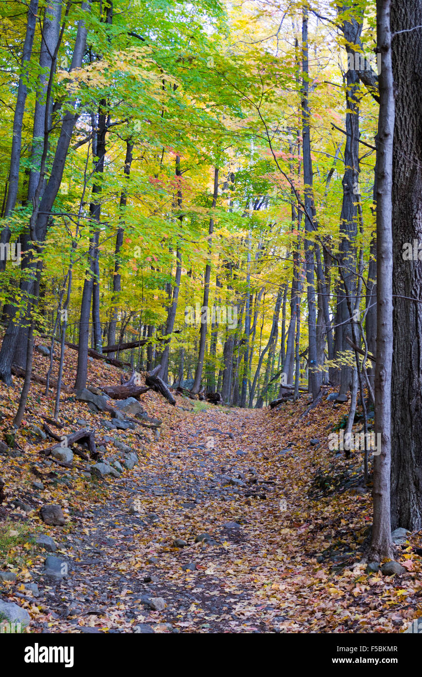 Picture taken during a hike from Breakneck ridge to Cold Spring during ...