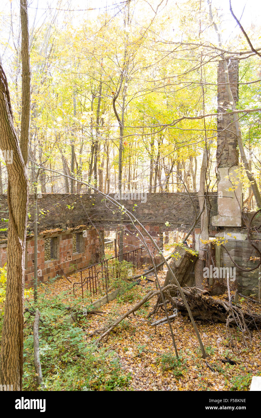 Picture taken during a hike from Breakneck ridge to Cold Spring during ...