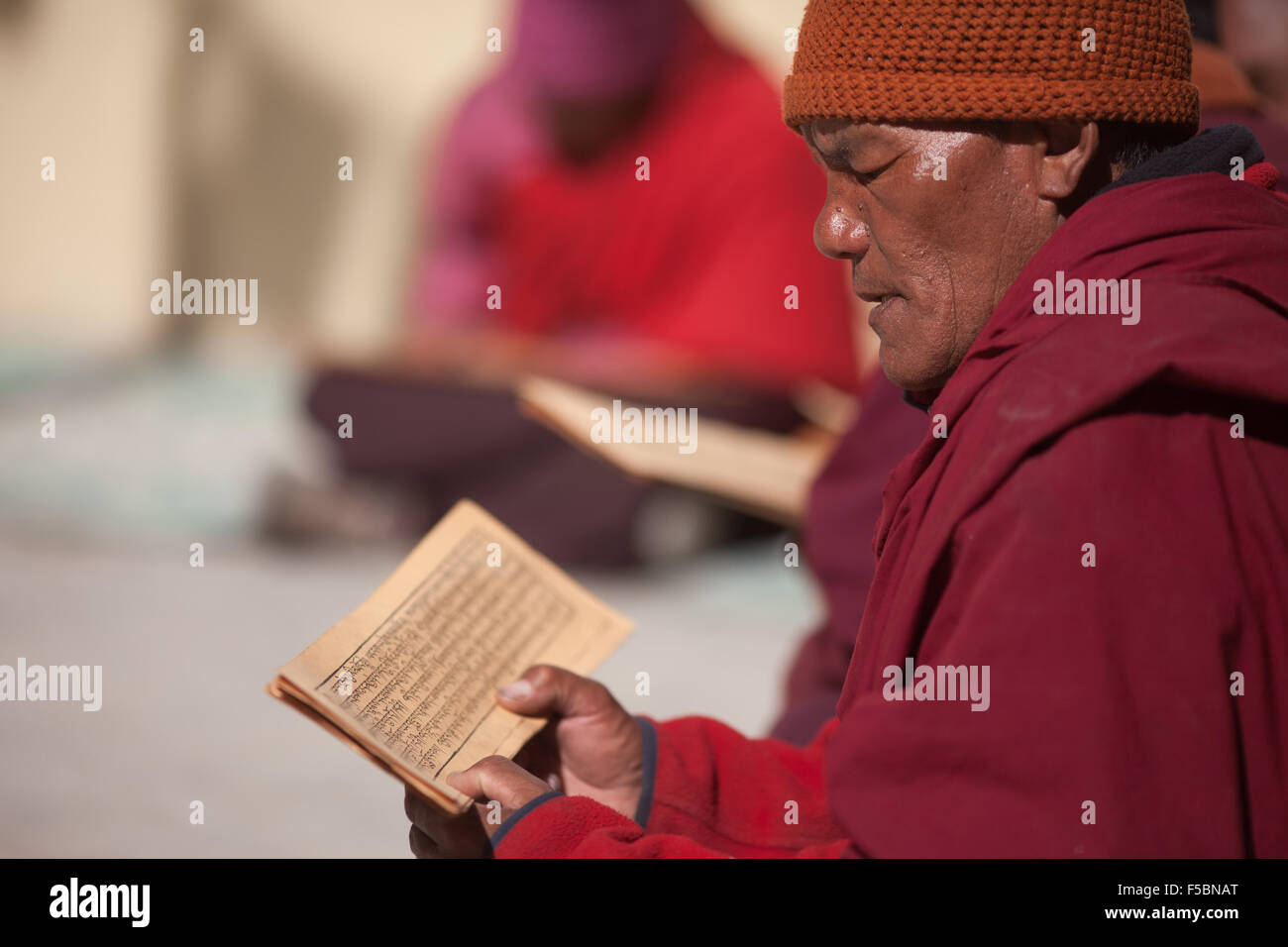 A Buddhist monk reading scriptures at the Hanle monastery in Ladakh ...