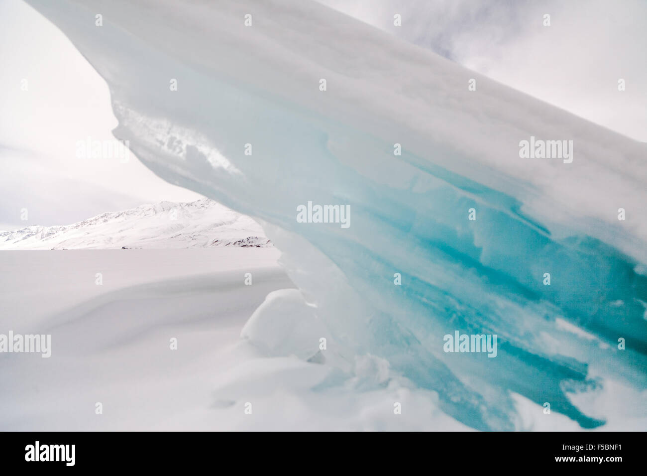 Jagged ice blocks lining the shore of the frozen Tsomoriri lake in ...