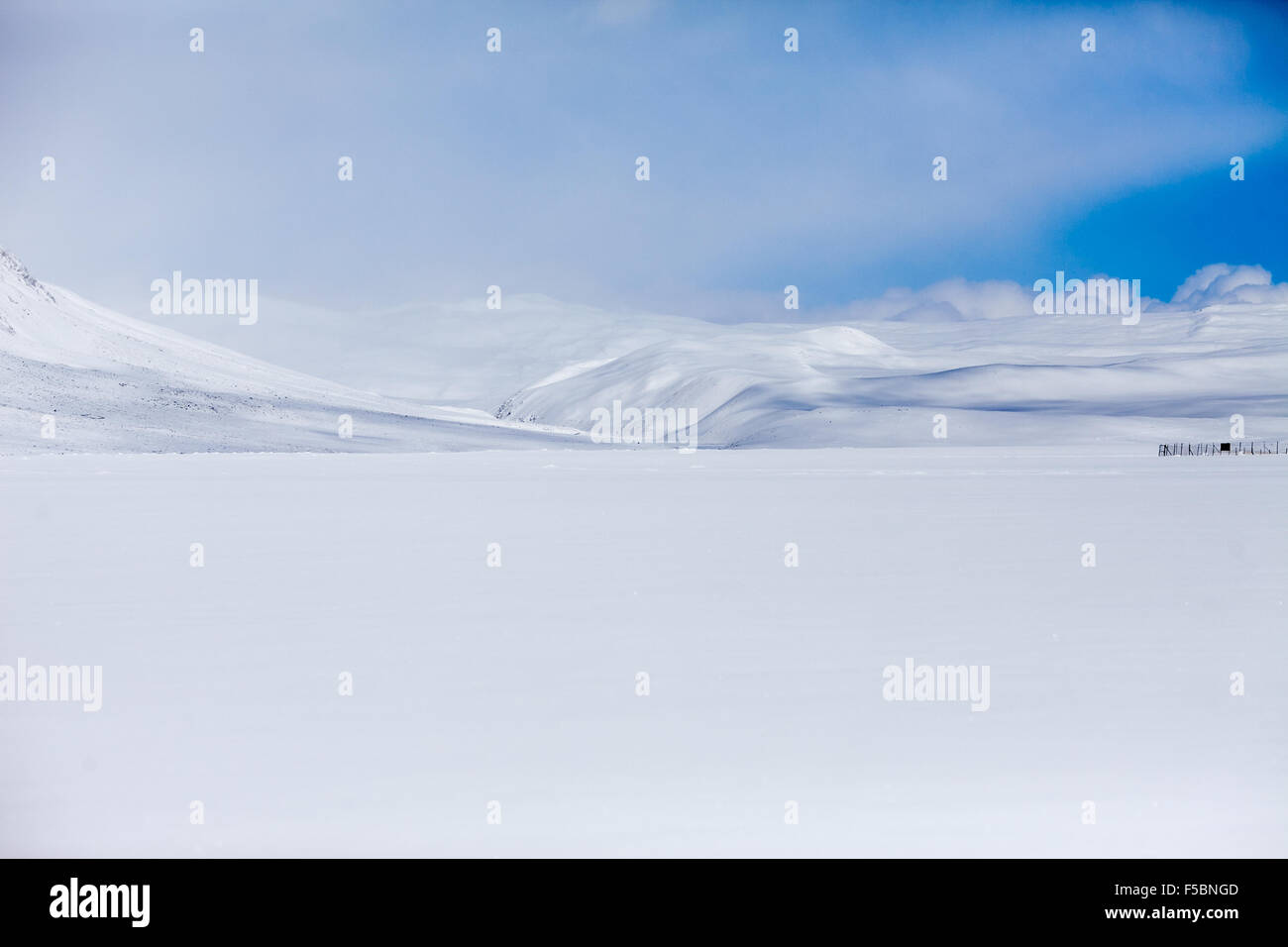 The snow white landscape of Tsomoriri lake in winter Stock Photo - Alamy