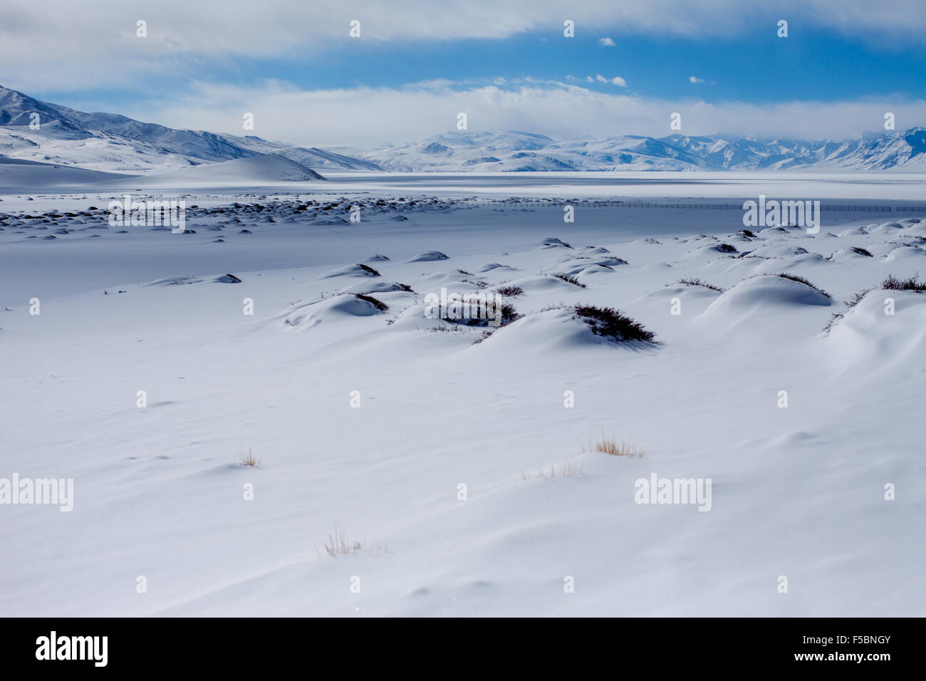 Snow covered landscape of the Tsomoriri lake in winter Stock Photo - Alamy