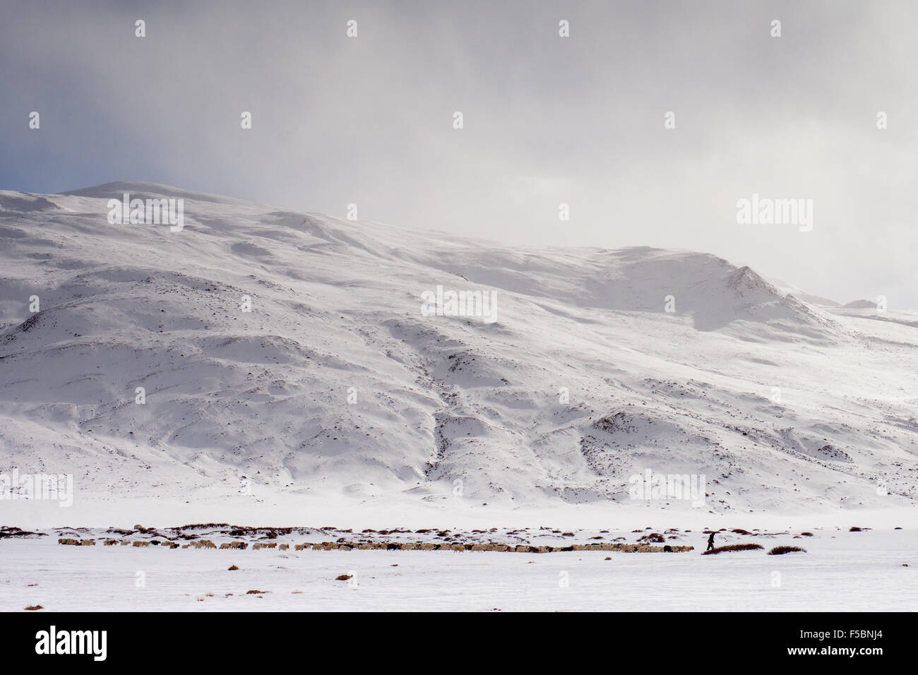 Grassland covered in snow hi-res stock photography and images - Alamy