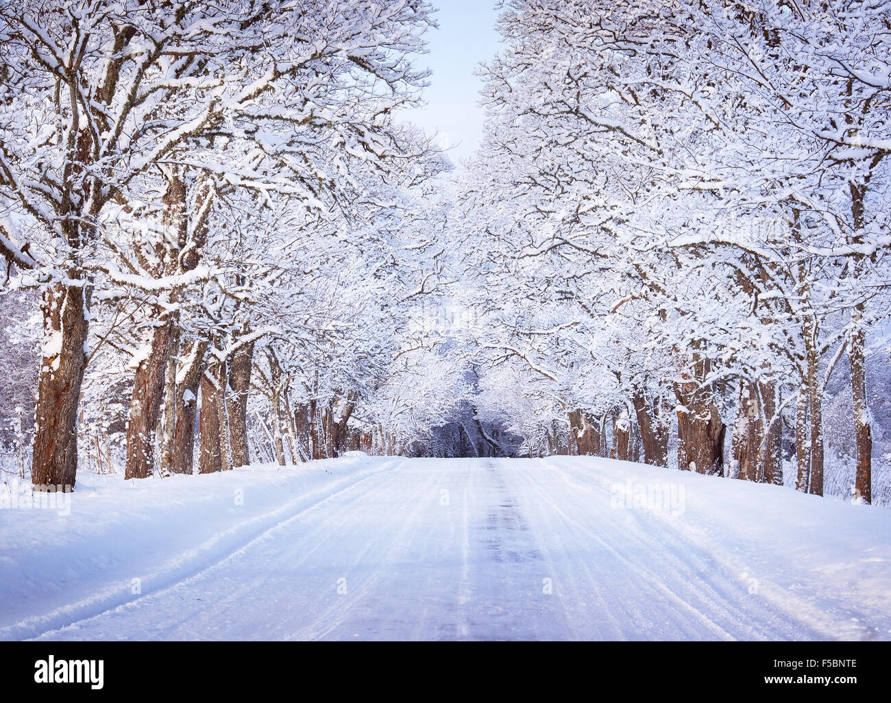 Alley in snowy morning Stock Photo - Alamy
