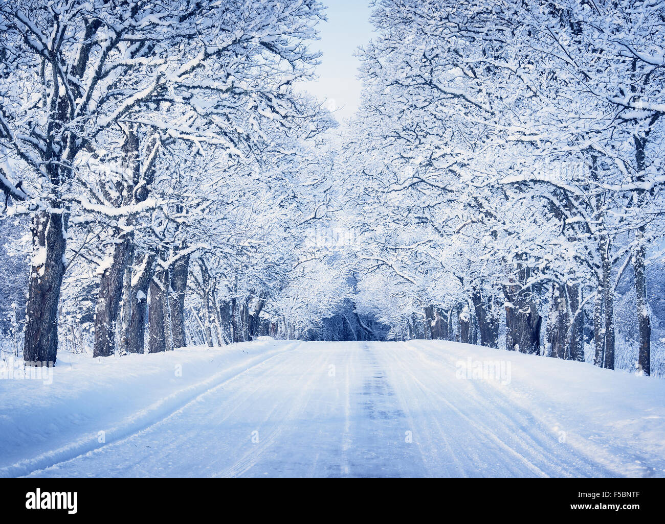 Alley in snowy morning Stock Photo - Alamy