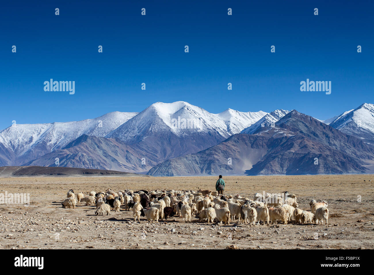 Rebo hi-res stock photography and images - Alamy