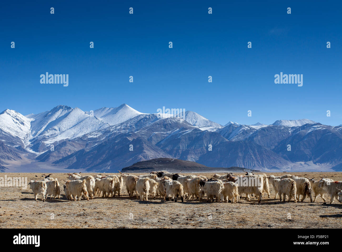 Tokung hi-res stock photography and images - Alamy