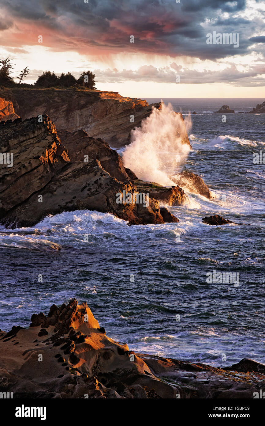 Shore acres state park hi-res stock photography and images - Alamy