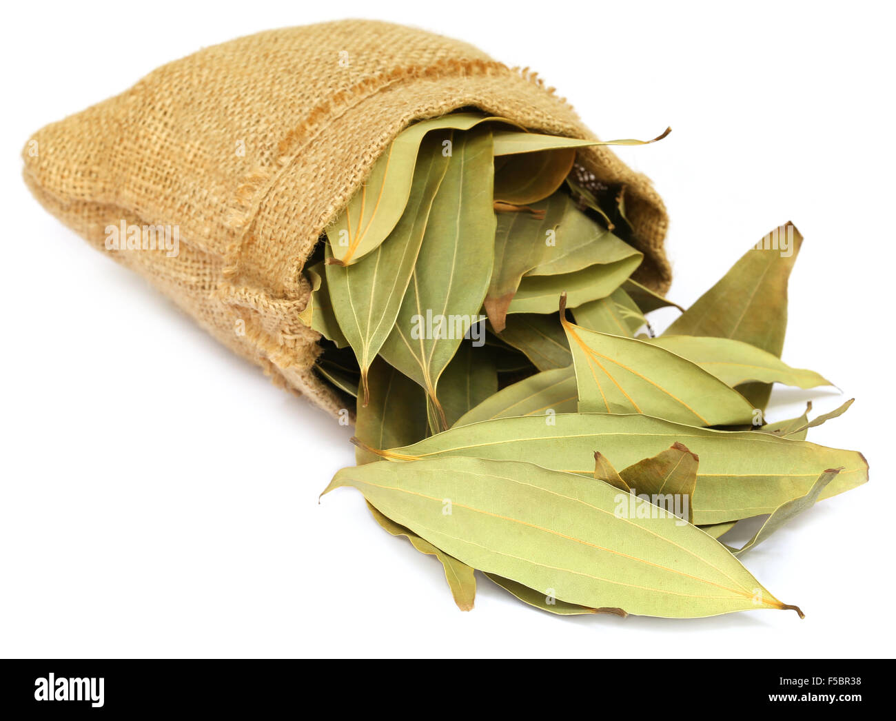 Patta hi-res stock photography and images - Alamy