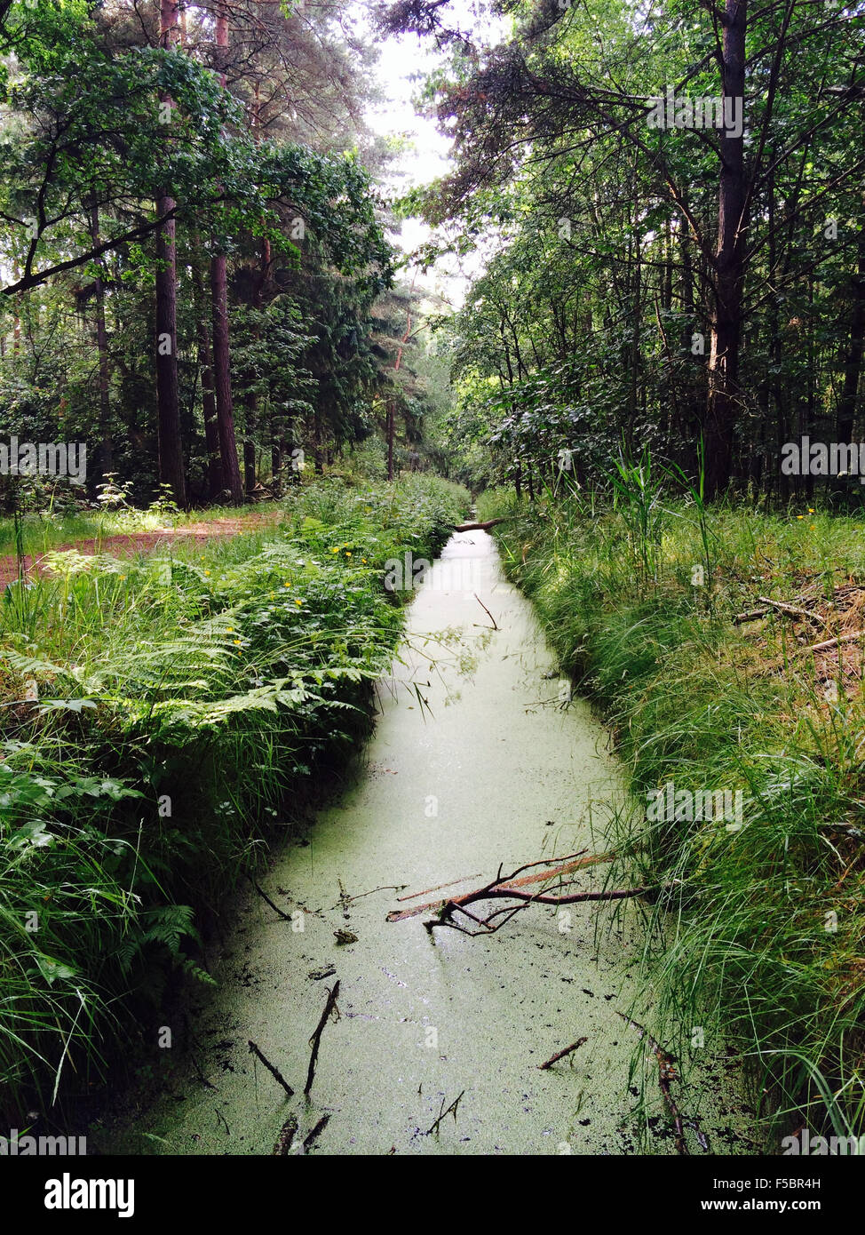 Brook little hi-res stock photography and images - Alamy