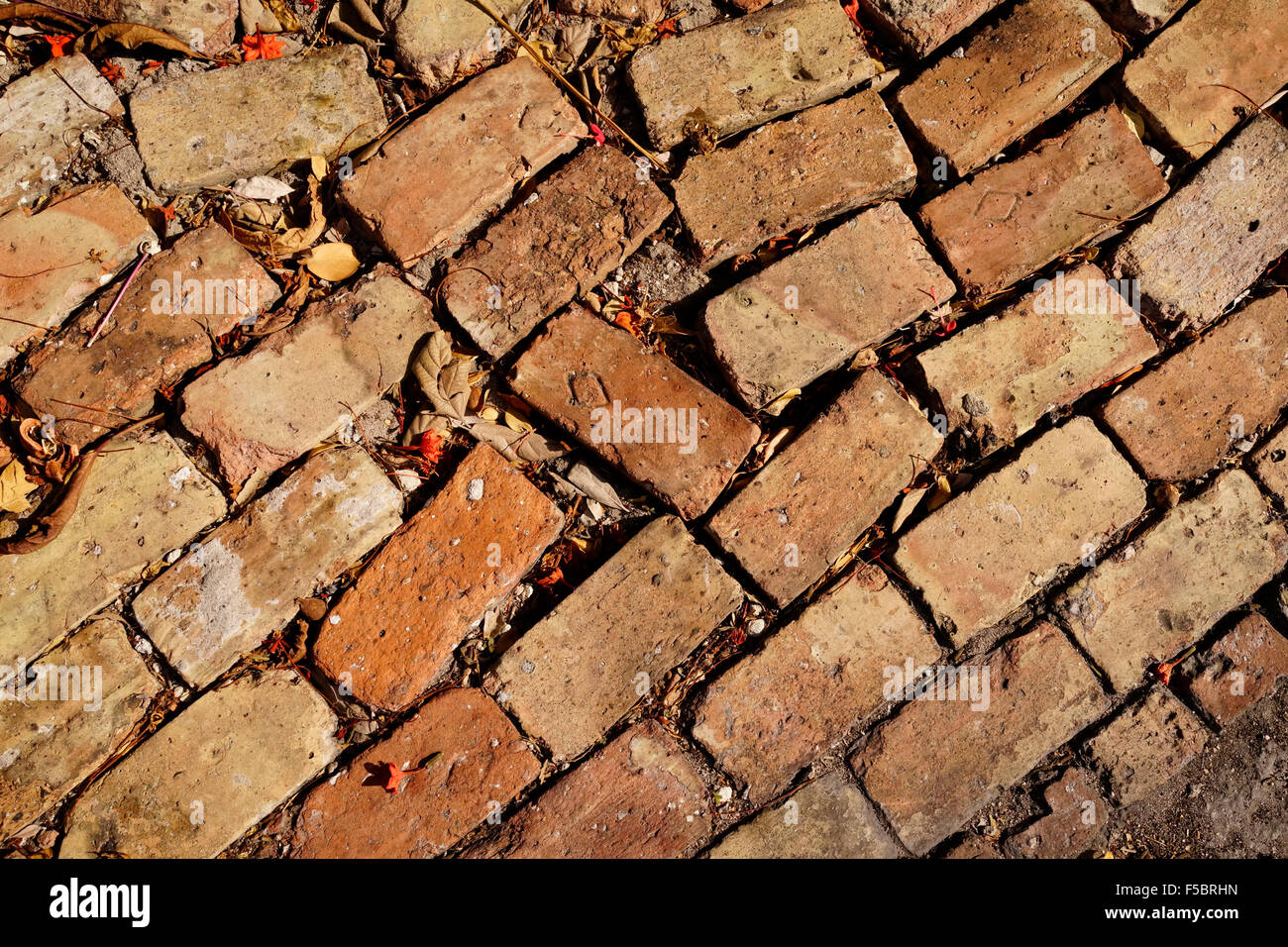 Old brick side walk in historic Key West, Florida, USA Stock Photo - Alamy