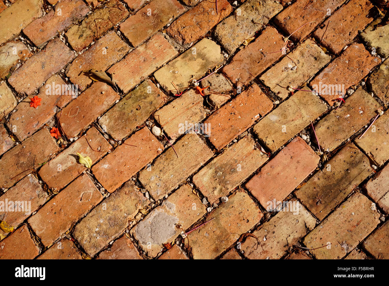Old brick side walk in historic Key West, Florida, USA Stock Photo - Alamy