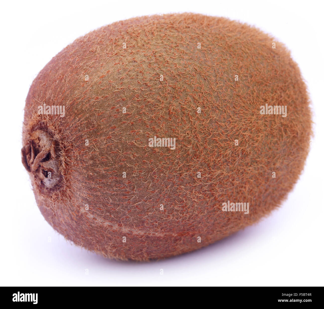 Single Kiwi fruit over white background Stock Photo - Alamy