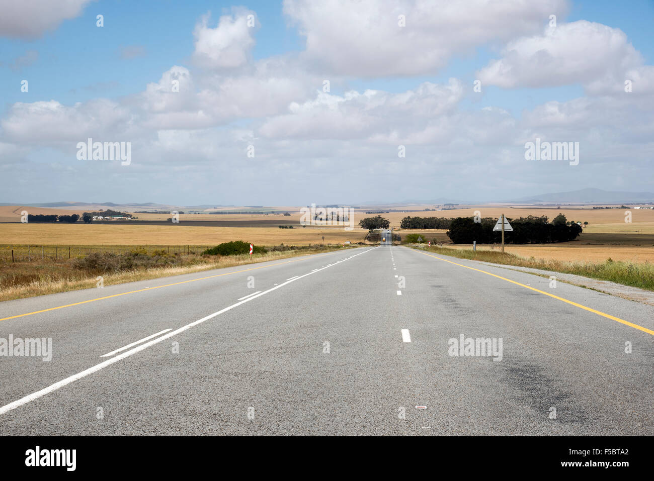 The Cape Namibian Highway passing through the Swartland region South ...