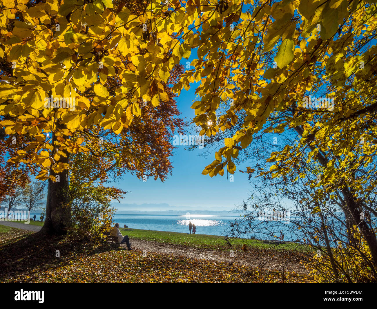 Walkers enjoy the autumn mood at Lake Starnberg in Ambach, Bavaria ...