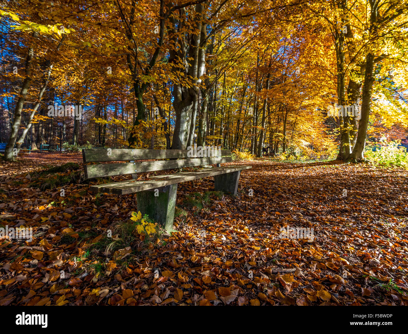 Empty park bench, Autumn at Lake Starnberg in Ambach, Bavaria, Germany ...