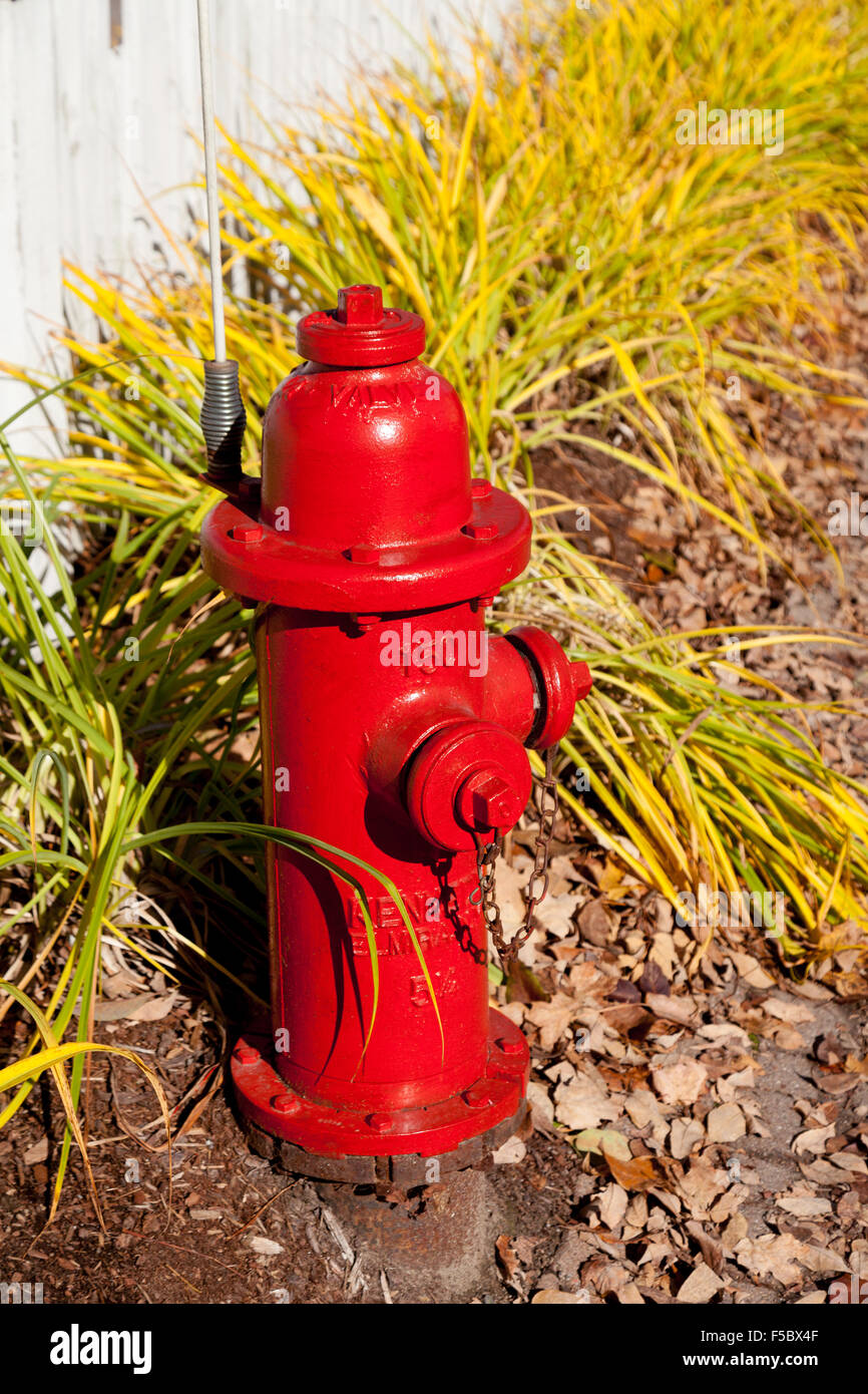 American fire hydrant hi-res stock photography and images - Alamy