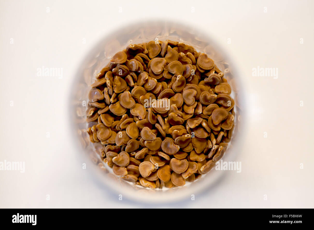 Seed in a glass hi-res stock photography and images - Alamy