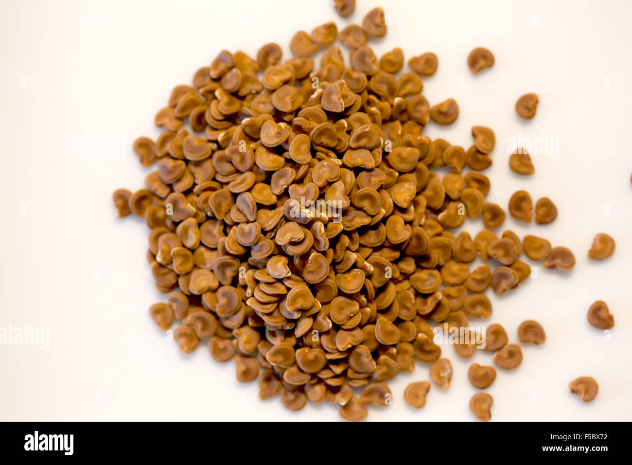 heart shaped seeds macro Stock Photo - Alamy