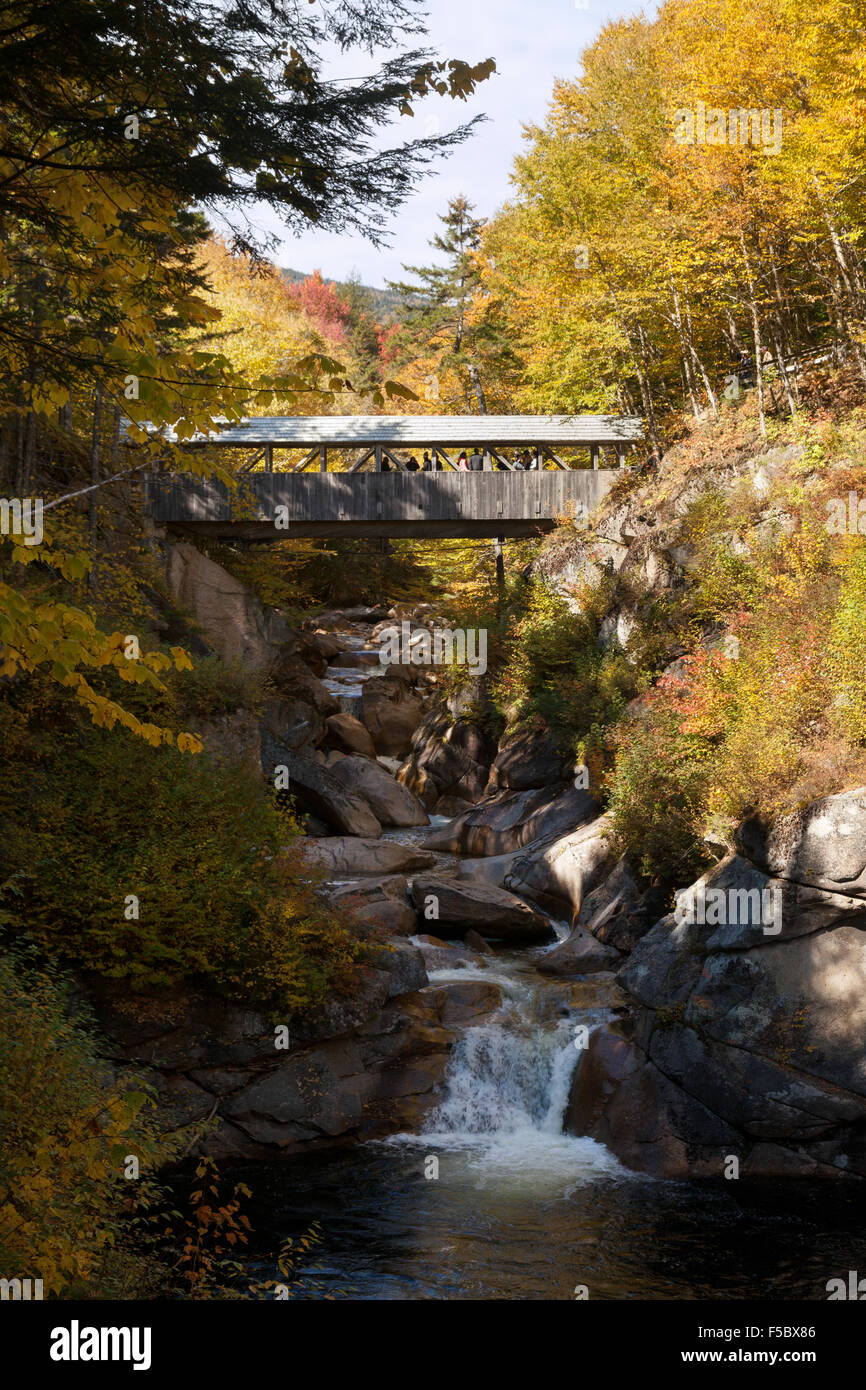 Sentinel Pine covered Bridge, Flume Gorge, Franconia Notch State Park, White Mountains National ...