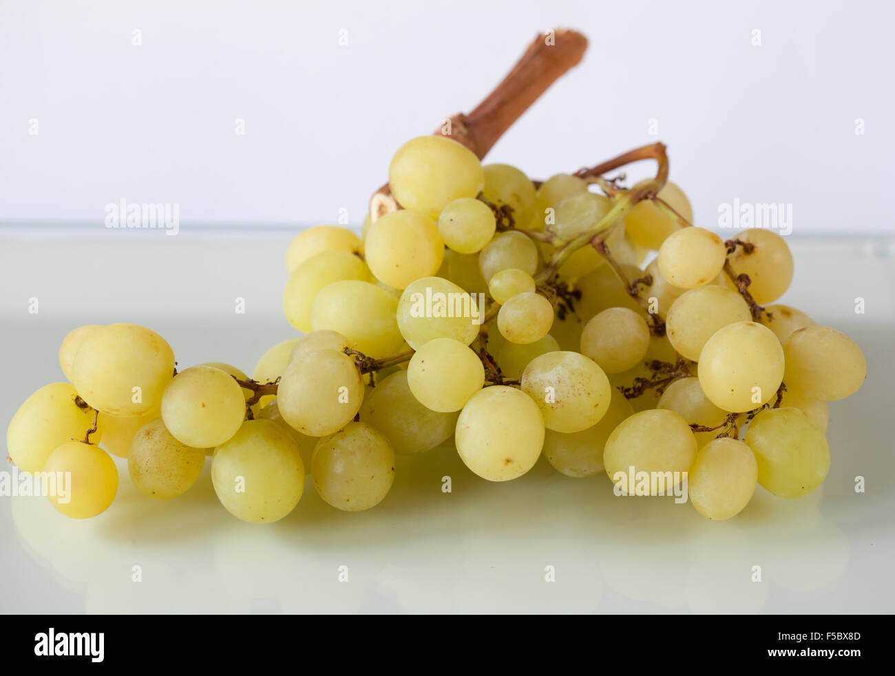grapevine on white background Stock Photo - Alamy