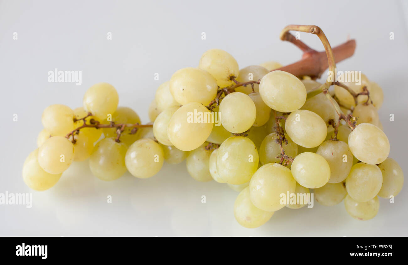 grapevine on white background Stock Photo - Alamy