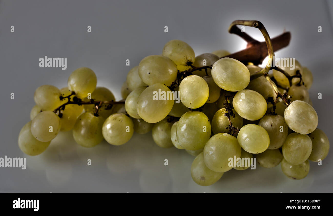 grapevine on white background Stock Photo - Alamy