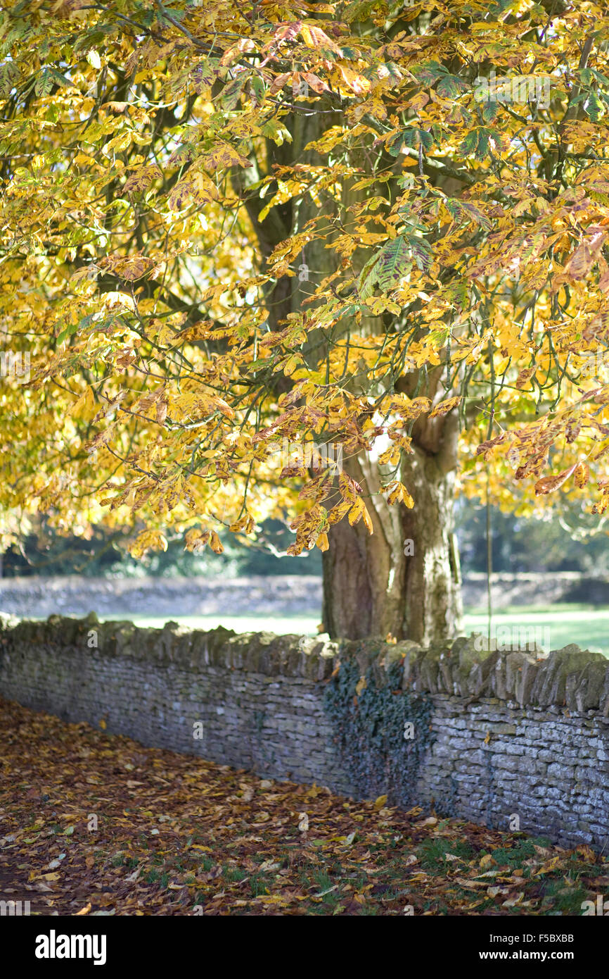 Changing phenomenon hi-res stock photography and images - Alamy