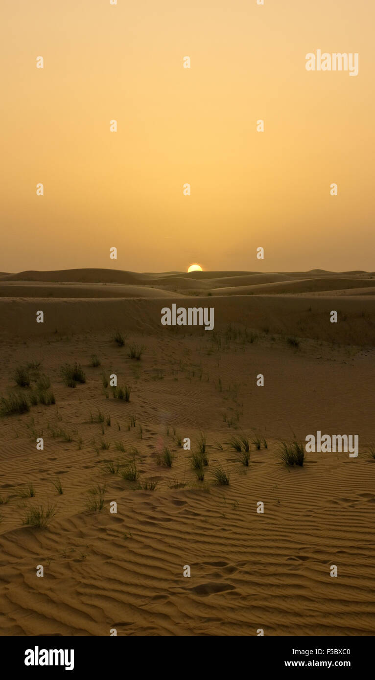 Dubai desert hi-res stock photography and images - Alamy