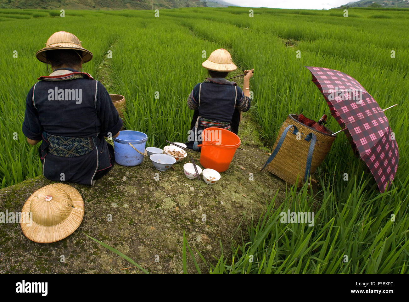 Some Hmong women eating next to a rice field in Sapa way to the nearby ...
