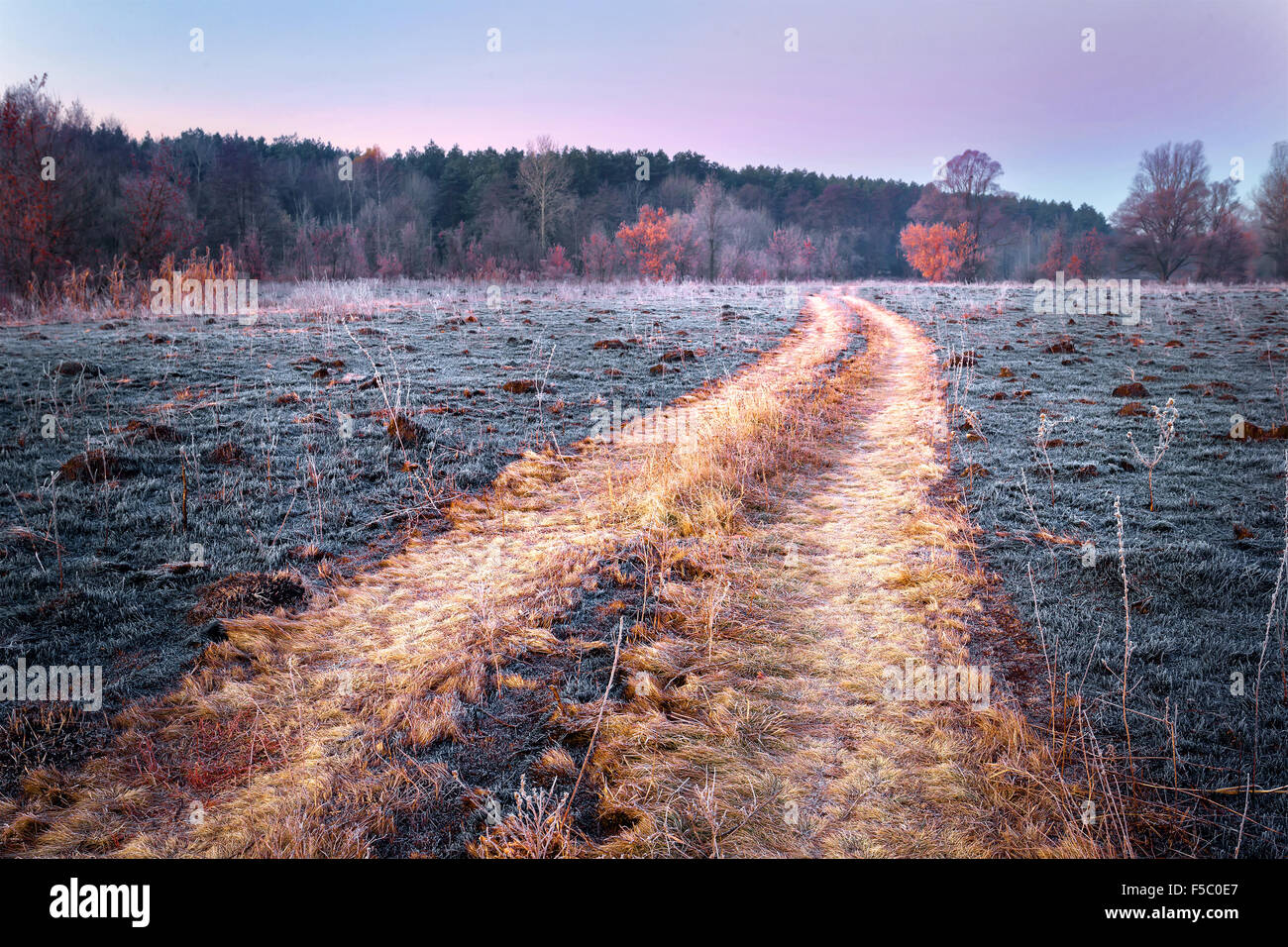 Frosted pathway hi-res stock photography and images - Alamy