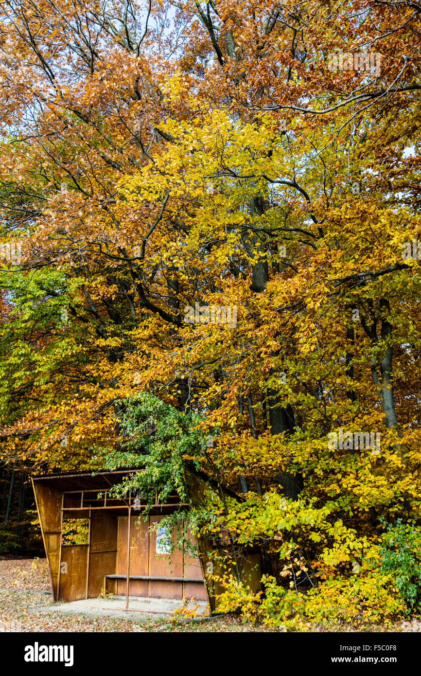 Bus stop colours hi-res stock photography and images - Alamy