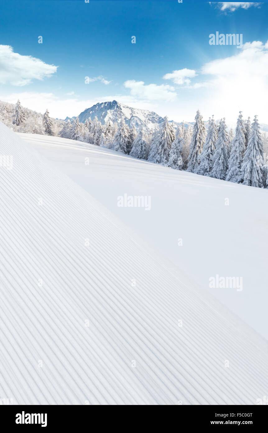 Snow slope tree hi-res stock photography and images - Alamy