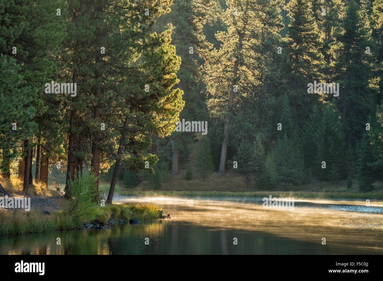 Early morning at Walton Lake, Ochoco National Forest, eastern Oregon ...