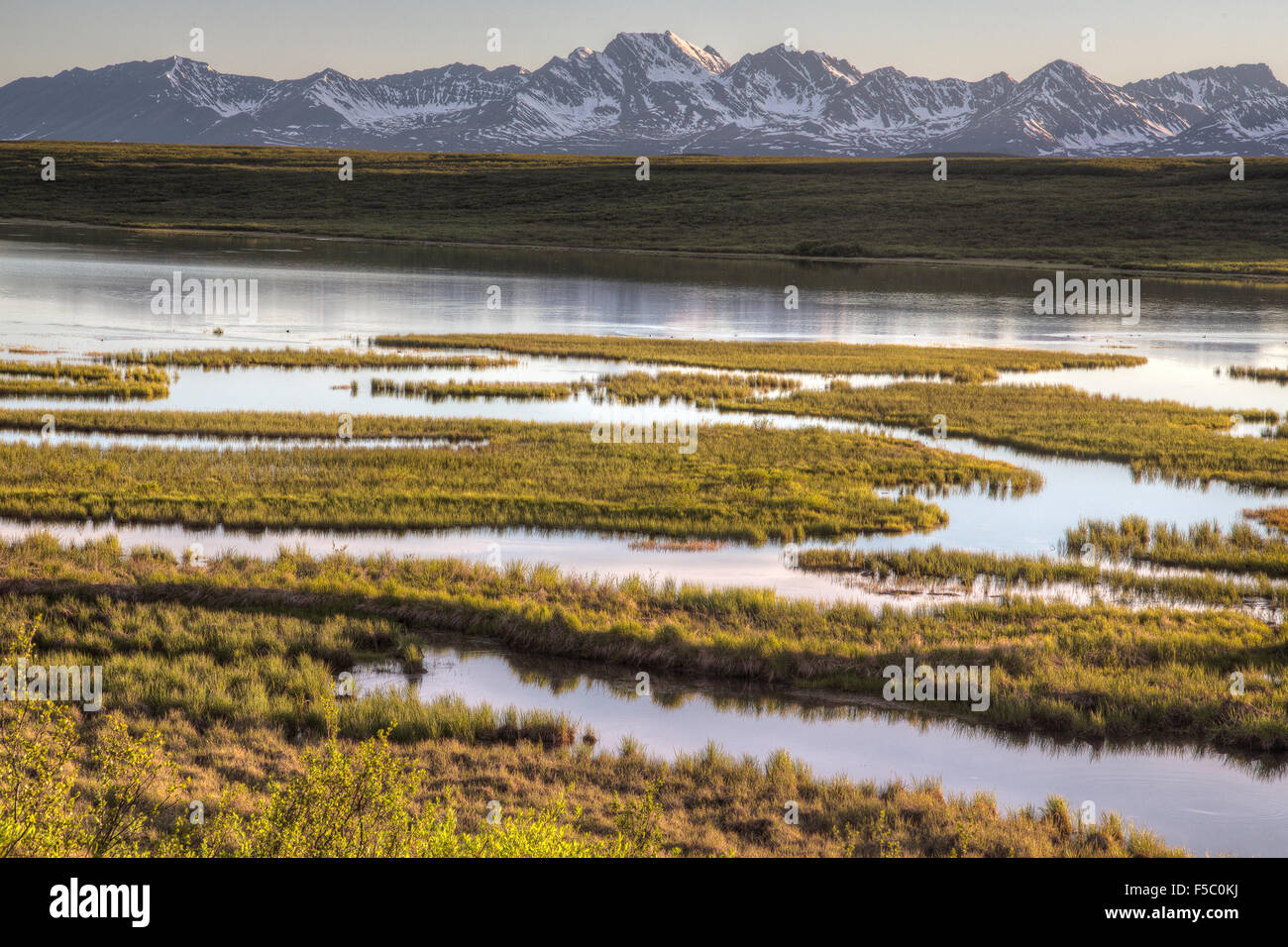 The Delta River flowing toward the Amphitheater Mountains of the Alaska ...