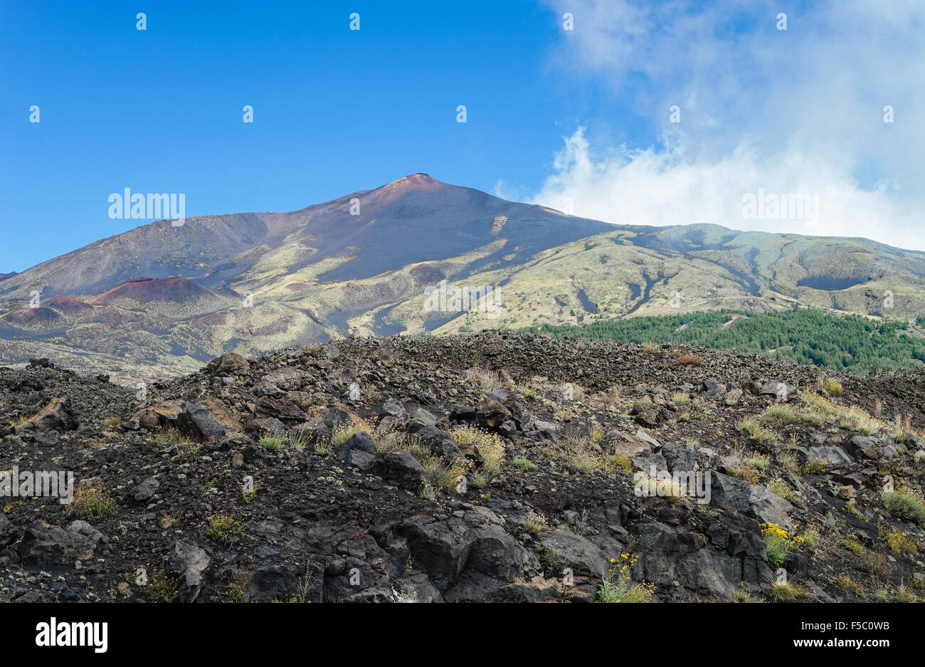 Ash bottom ash hi-res stock photography and images - Alamy