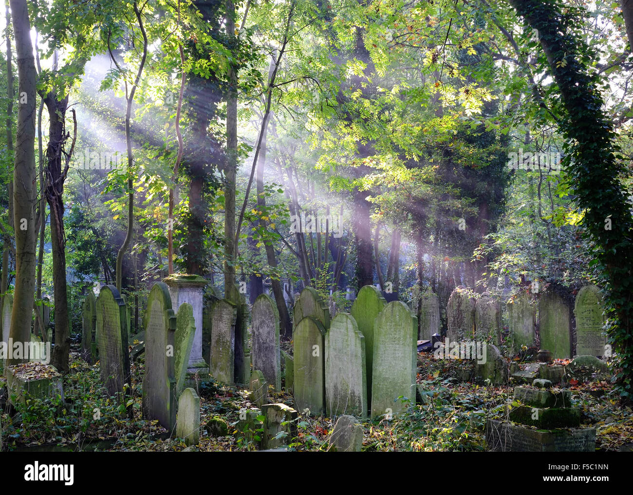 Tower hamlets cemetery park hi-res stock photography and images - Alamy