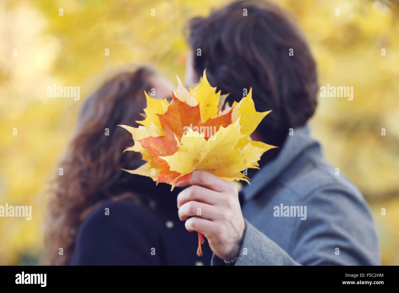 Beautiful couple with maple leaves kissing in autumn park Stock Photo ...