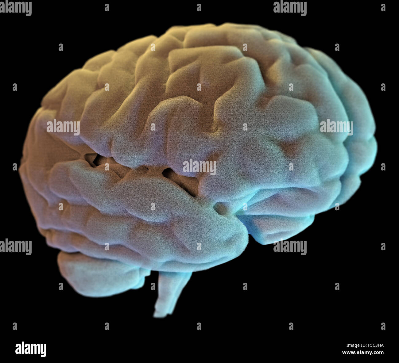 Human brain hi-res stock photography and images - Alamy