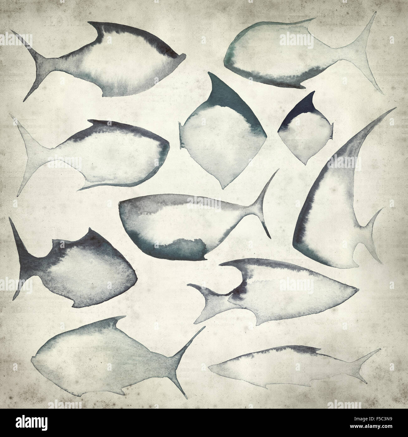 textured old paper background with watercolor fish outlines Stock Photo ...