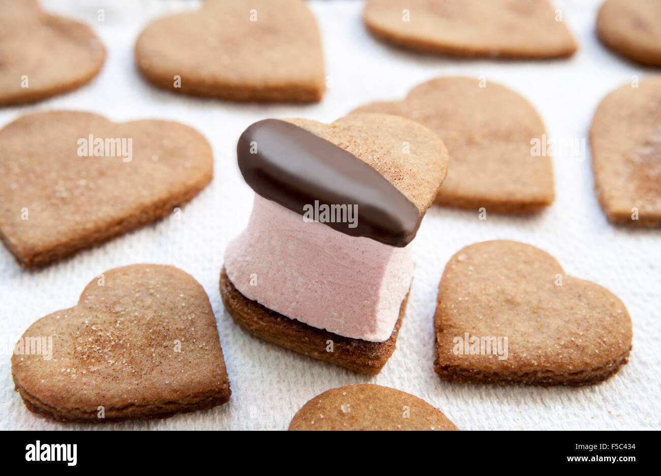 Heart-Shaped Graham Cracker Cookies and S'more Filled with Pink ...