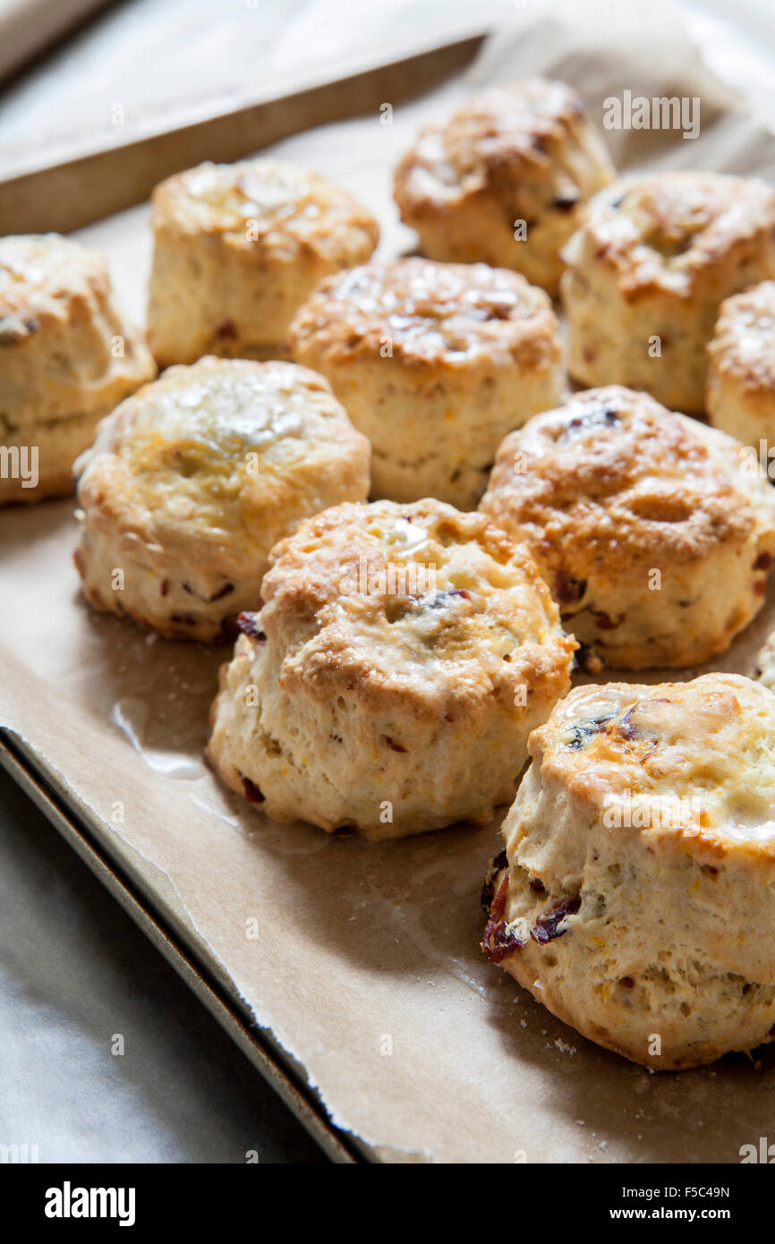 Cranberry Orange Scones on Parchment Paper Stock Photo - Alamy