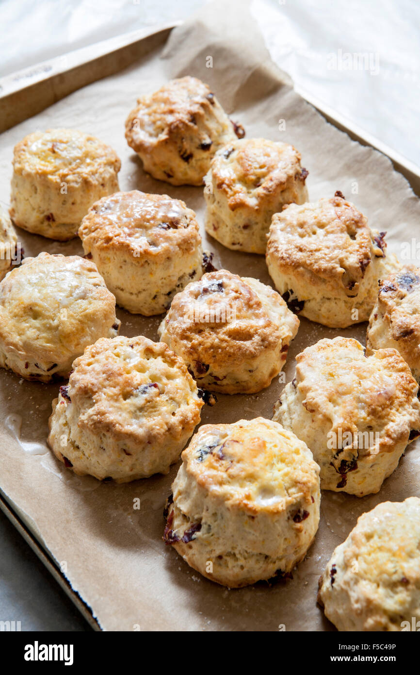 Cranberry Orange Scones on Parchment Paper Stock Photo - Alamy