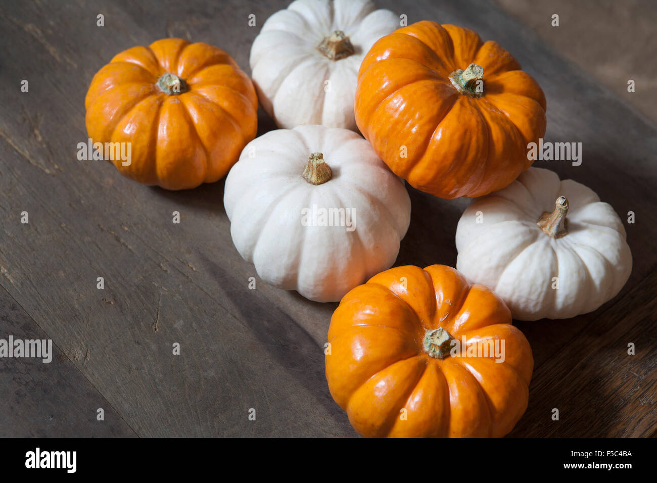 Assortment of White and Orange Mini Pumpkins Stock Photo - Alamy