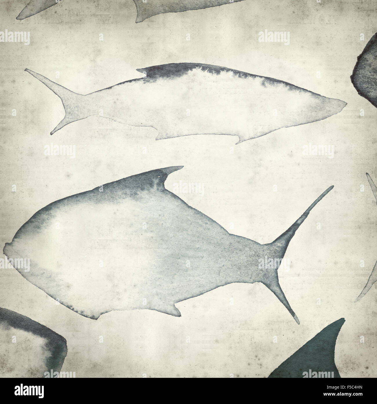 textured old paper background with watercolor fish outlines Stock Photo ...
