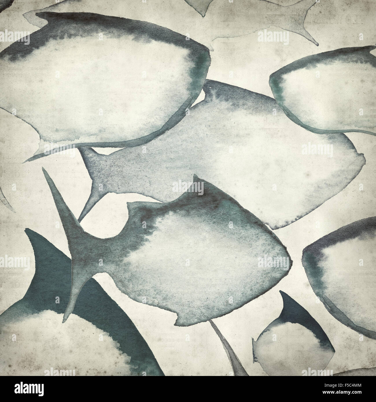 textured old paper background with watercolor fish outlines Stock Photo ...