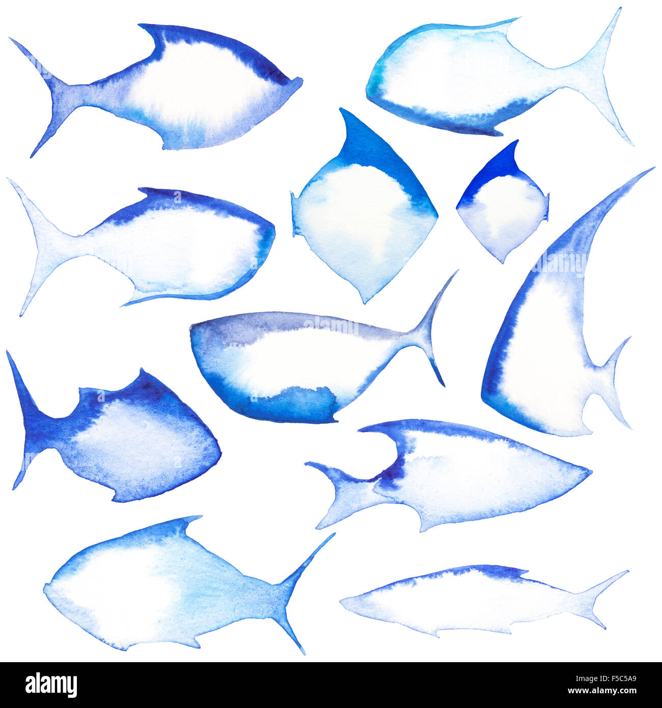 different fish shapes in watercolor on white background Stock Photo - Alamy